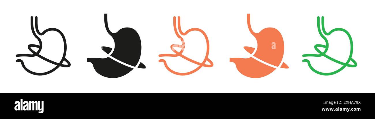 Supports digestive health icon Vector symbol or sign set collection in ...