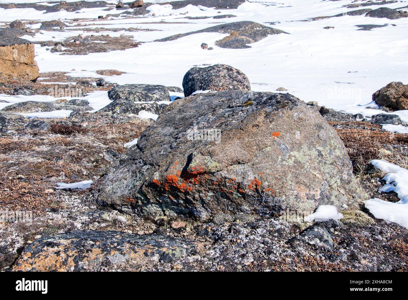 Spring thaw hi-res stock photography and images - Alamy