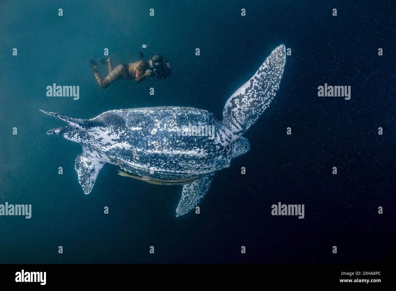 Indonesia moluccas hi-res stock photography and images - Alamy