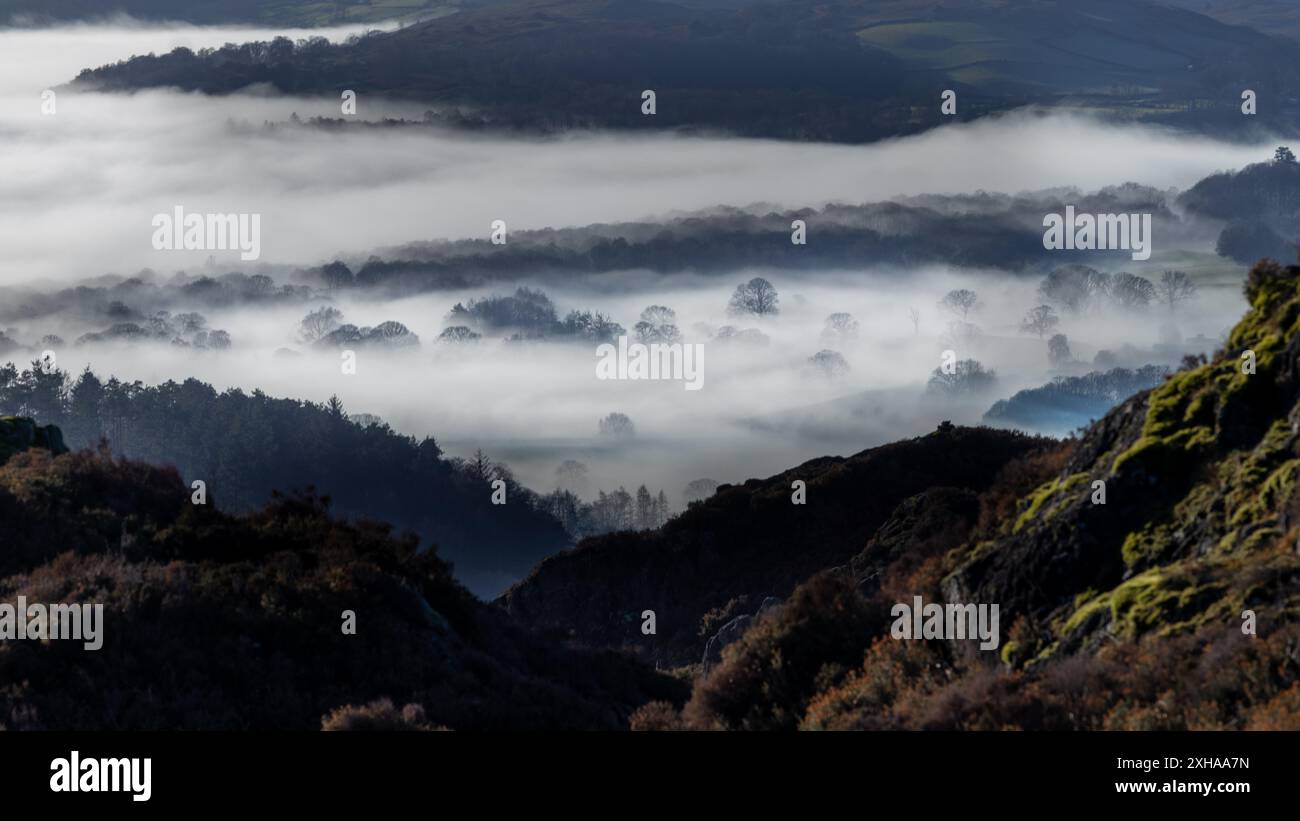 Trees protruding from the mist of a stunning cloud inversion taken from ...