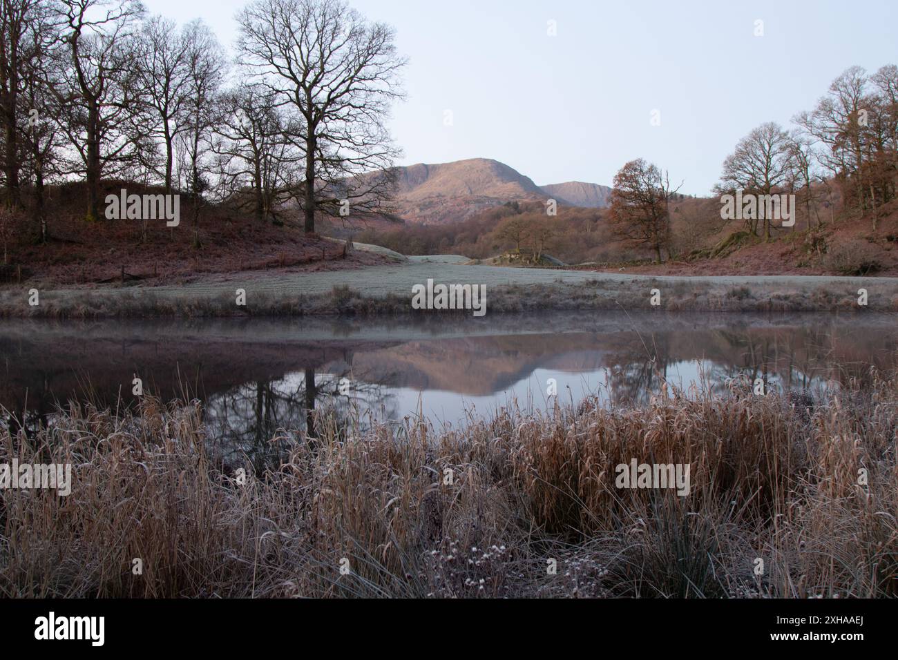 A calm, misty, frosty morning on the River Breathy Stock Photo - Alamy
