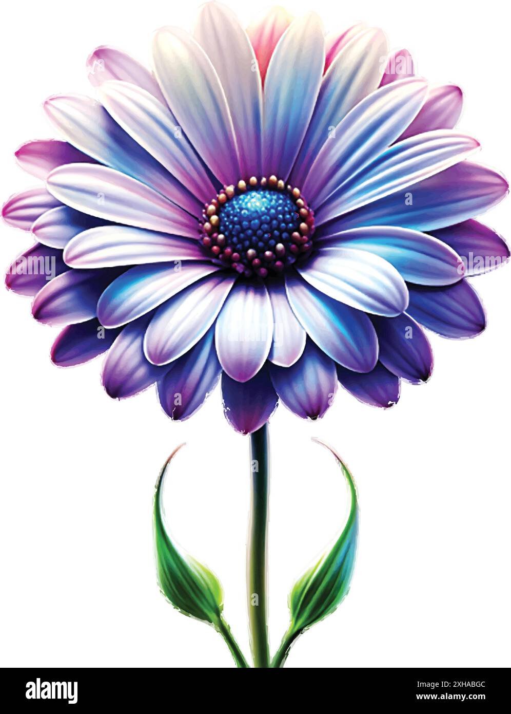 African daisy vector Art illustration Stock Vector Image & Art - Alamy
