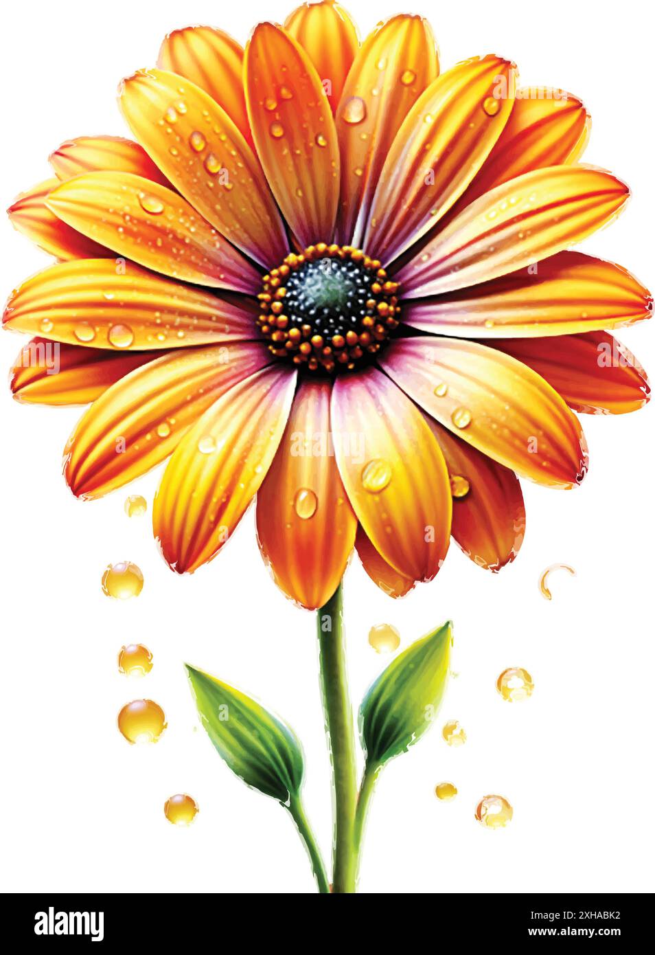 African daisy vector Art illustration Stock Vector Image & Art - Alamy