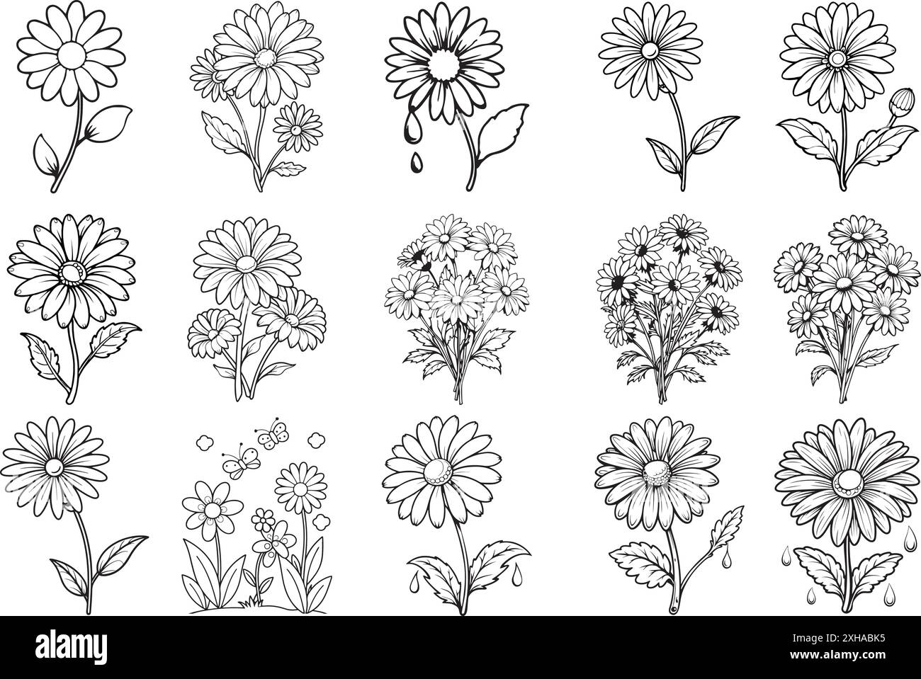 A set of african daisy vector line Art illustration Stock Vector Image ...