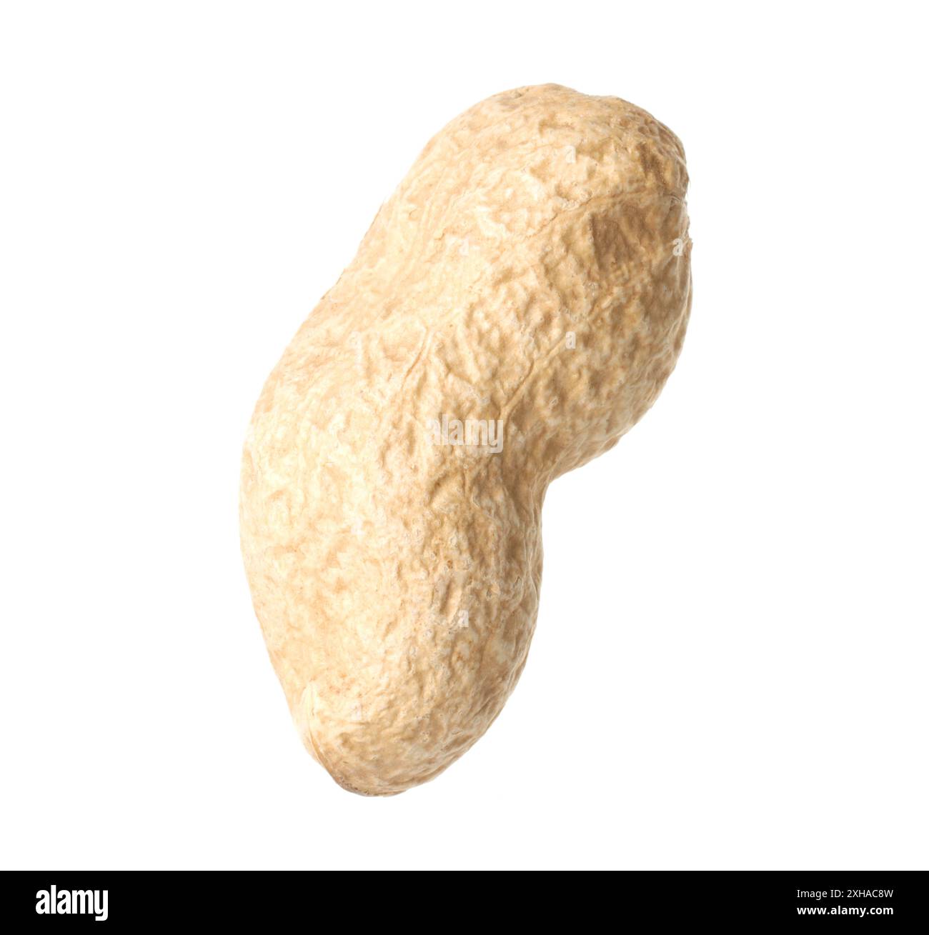 One fresh unpeeled peanut isolated on white Stock Photo - Alamy