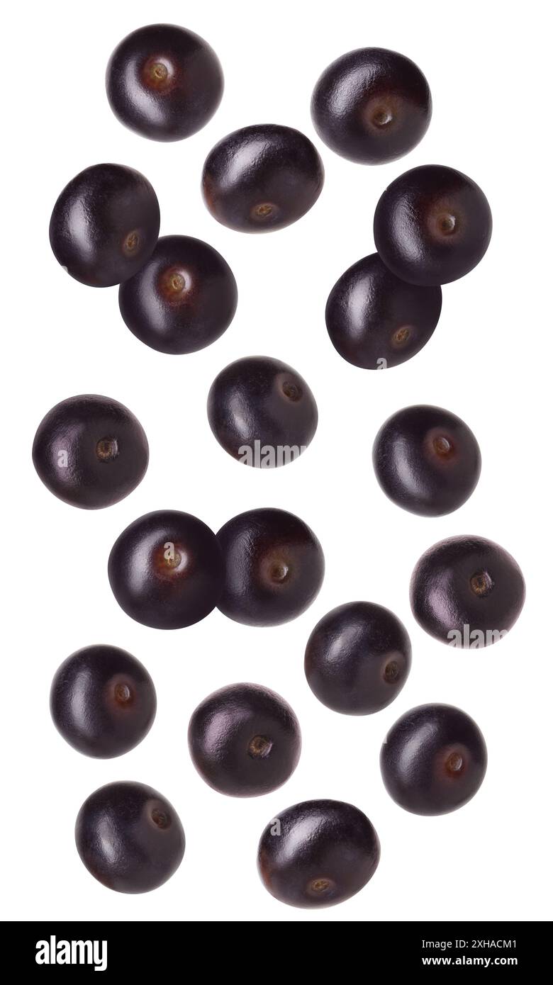 Many acai berries falling on white background Stock Photo - Alamy