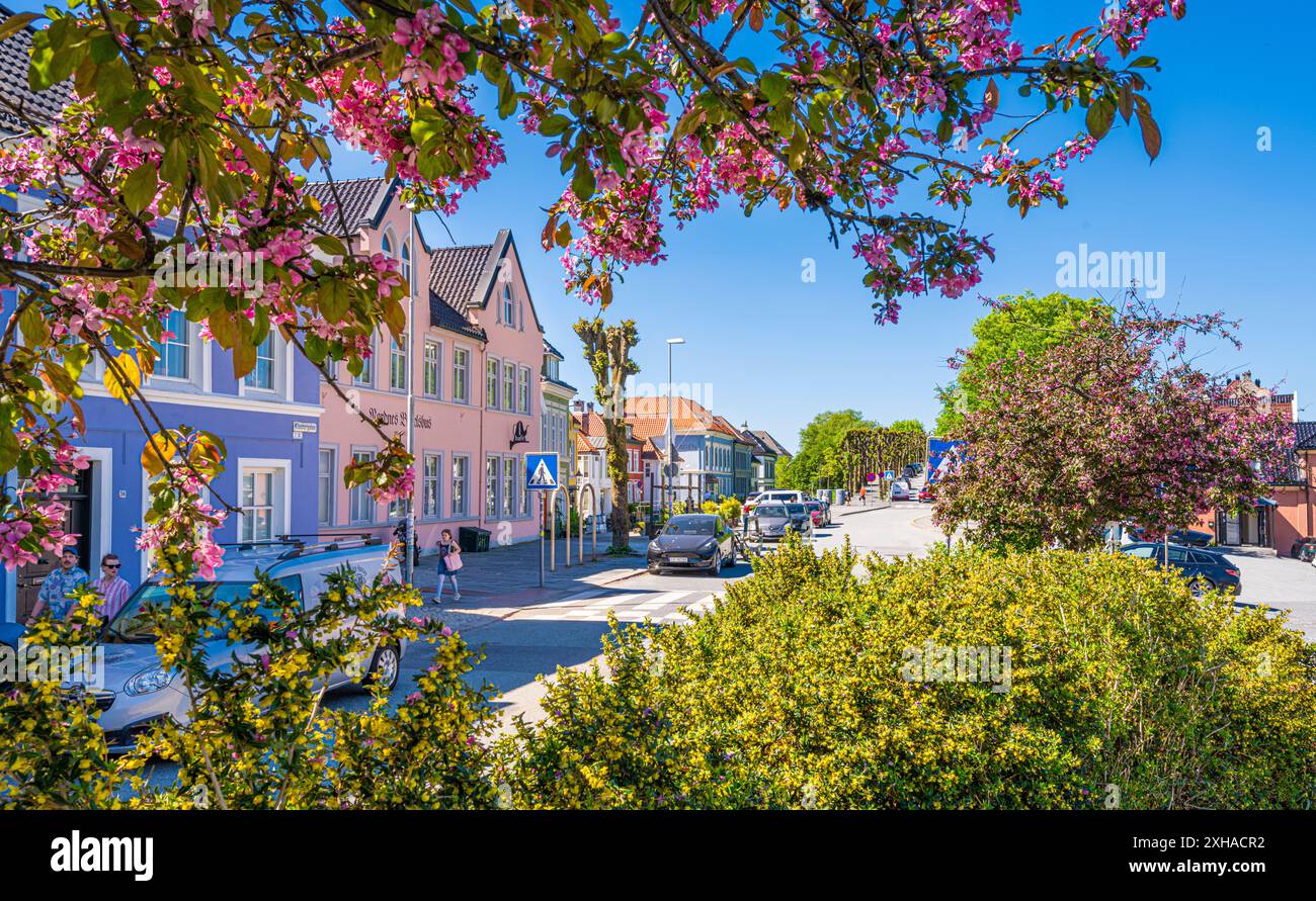Spring time at Klosteret in Bergen, Norway Stock Photo - Alamy
