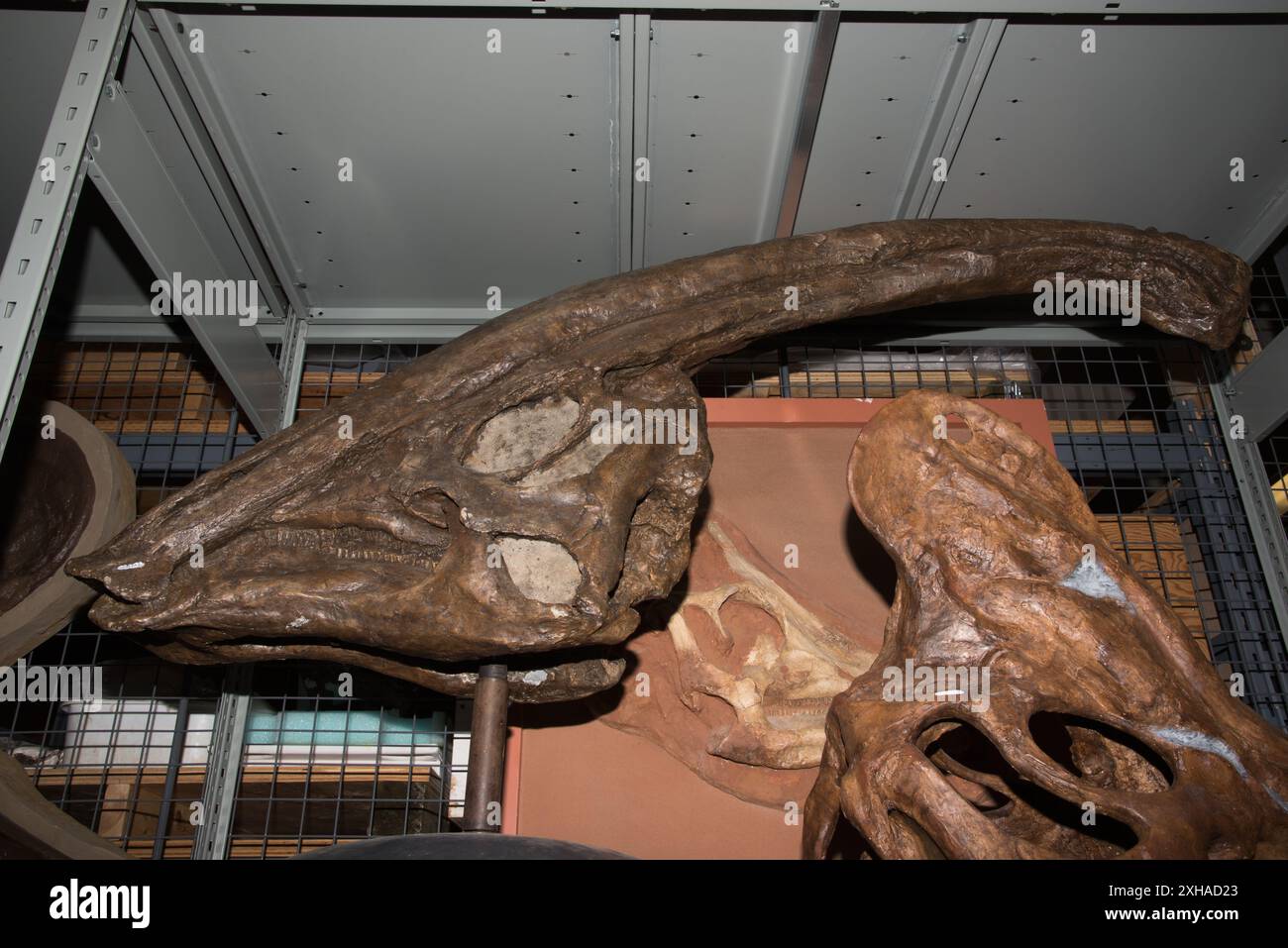 Royal Tyrrell Museum of Palaeontology in Drumheller in Alberta provides ...