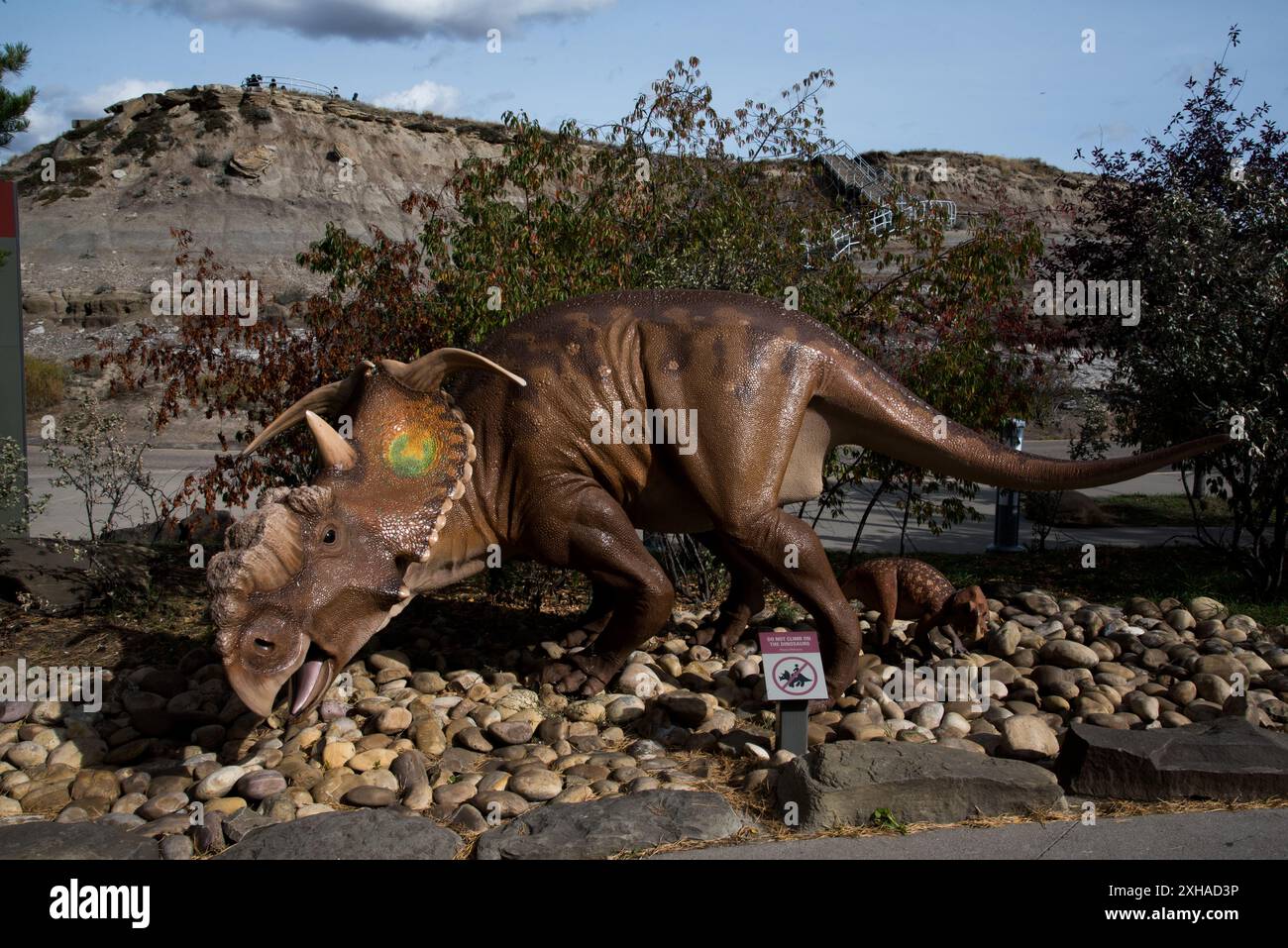 Royal Tyrrell Museum of Palaeontology in Drumheller in Alberta provides ...