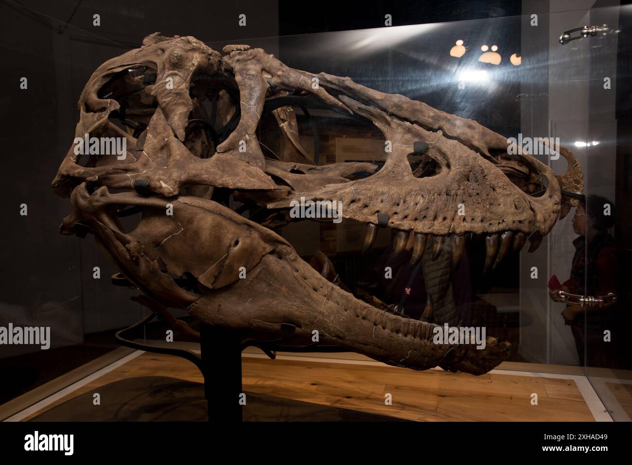 Royal Tyrrell Museum of Palaeontology in Drumheller in Alberta provides ...