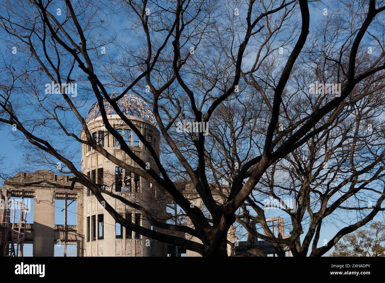 The Atomic Bomb dome among winter trees in Hiroshima, Japan Stock Photo ...