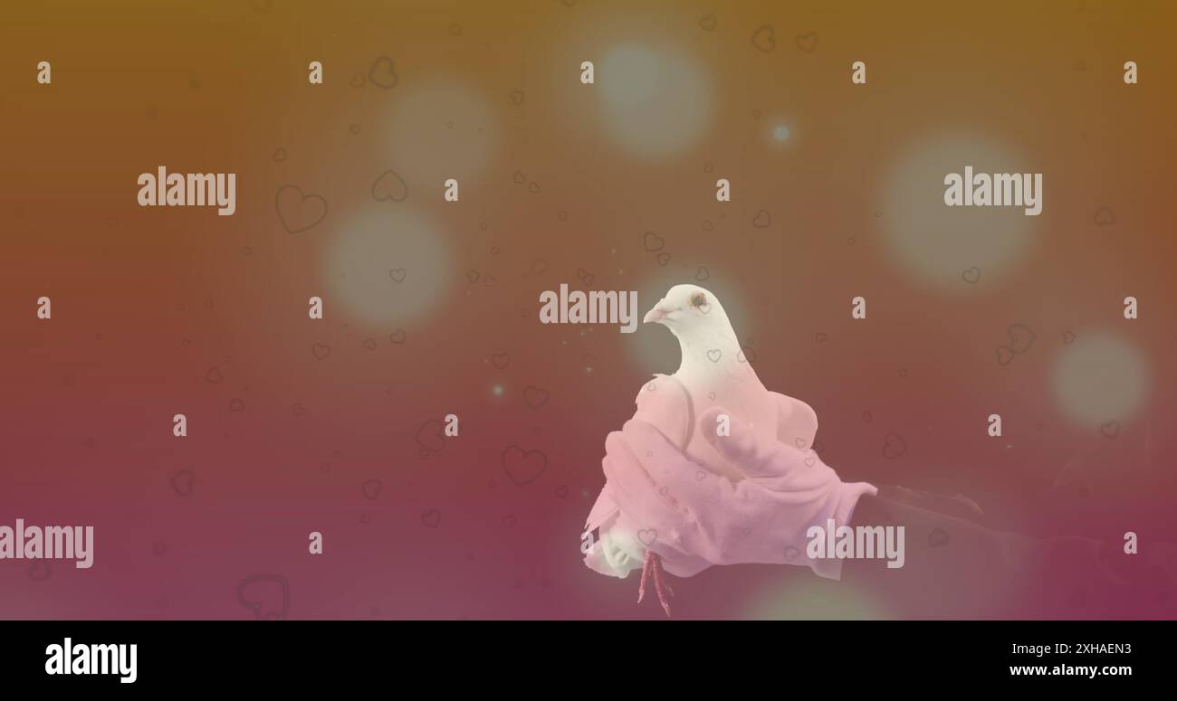 Person holding dove of peace hi-res stock photography and images - Alamy