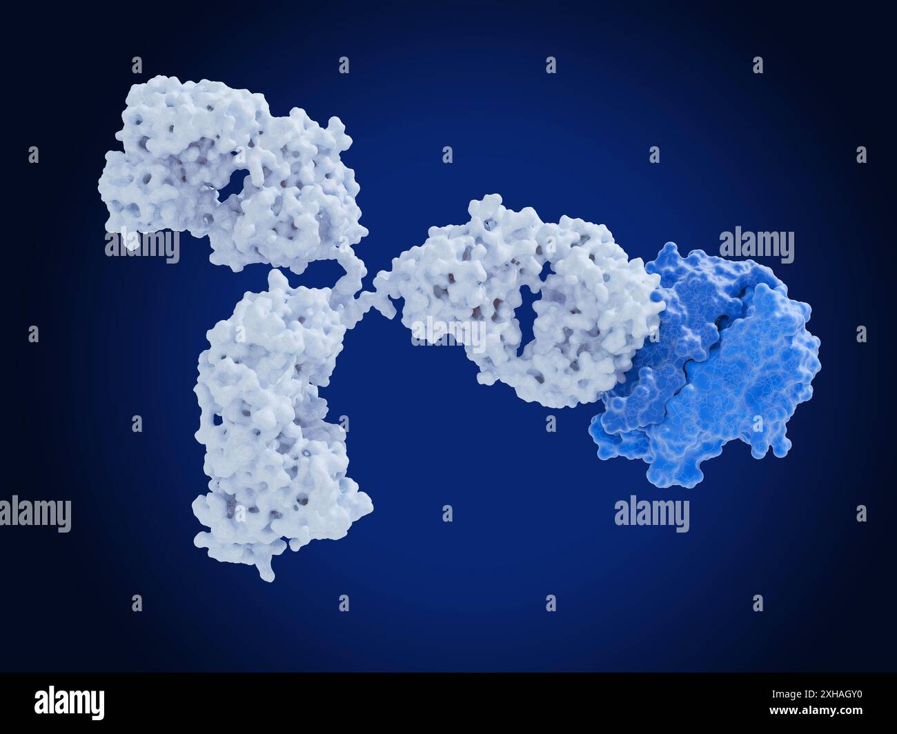 Illustration of adalimumab (light blue) binding the cytokine tumour necrosis factor-alpha (TNF-a ...