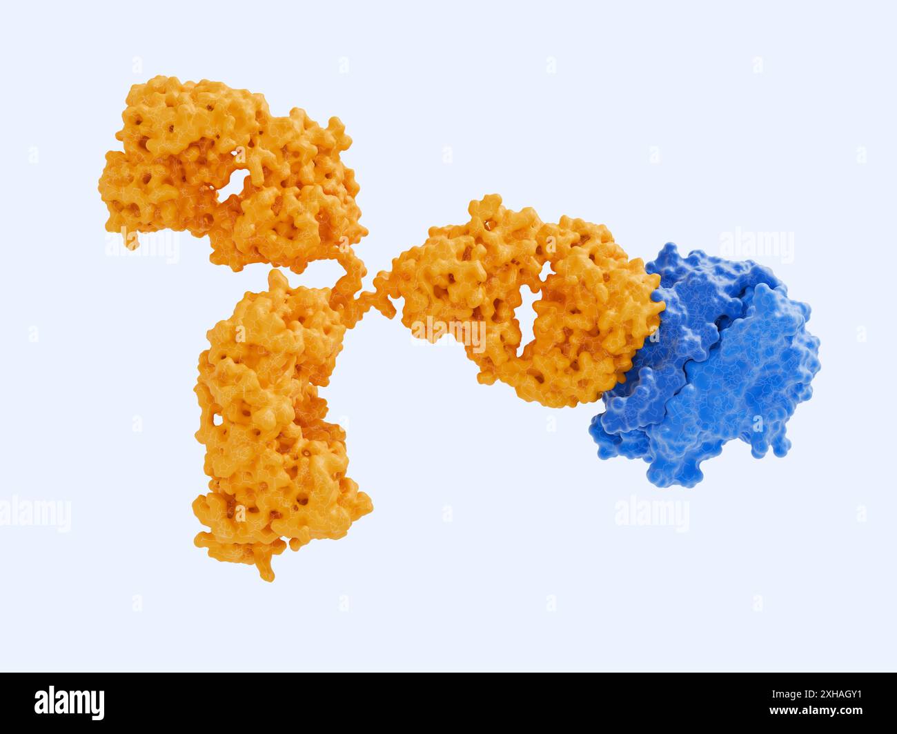 Illustration of adalimumab (orange) binding the cytokine tumour necrosis factor-alpha (TNF-a ...