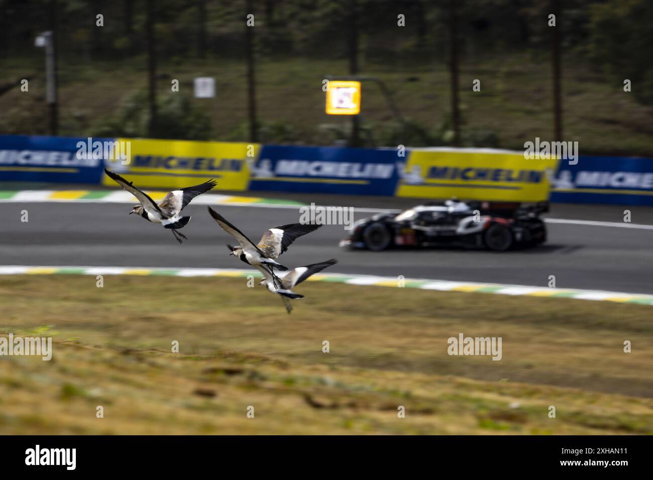 during the 2024 Rolex 6 Hours of Sao Paulo, 5th round of the 2024 FIA ...