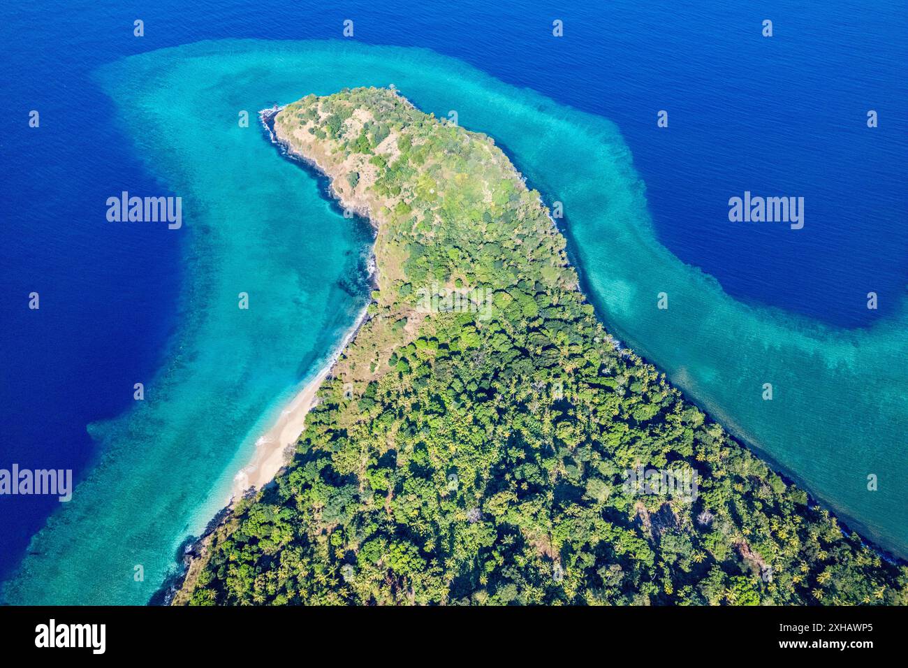 life ont the reef of mayotte lagoon Indian Ocean Stock Photo - Alamy