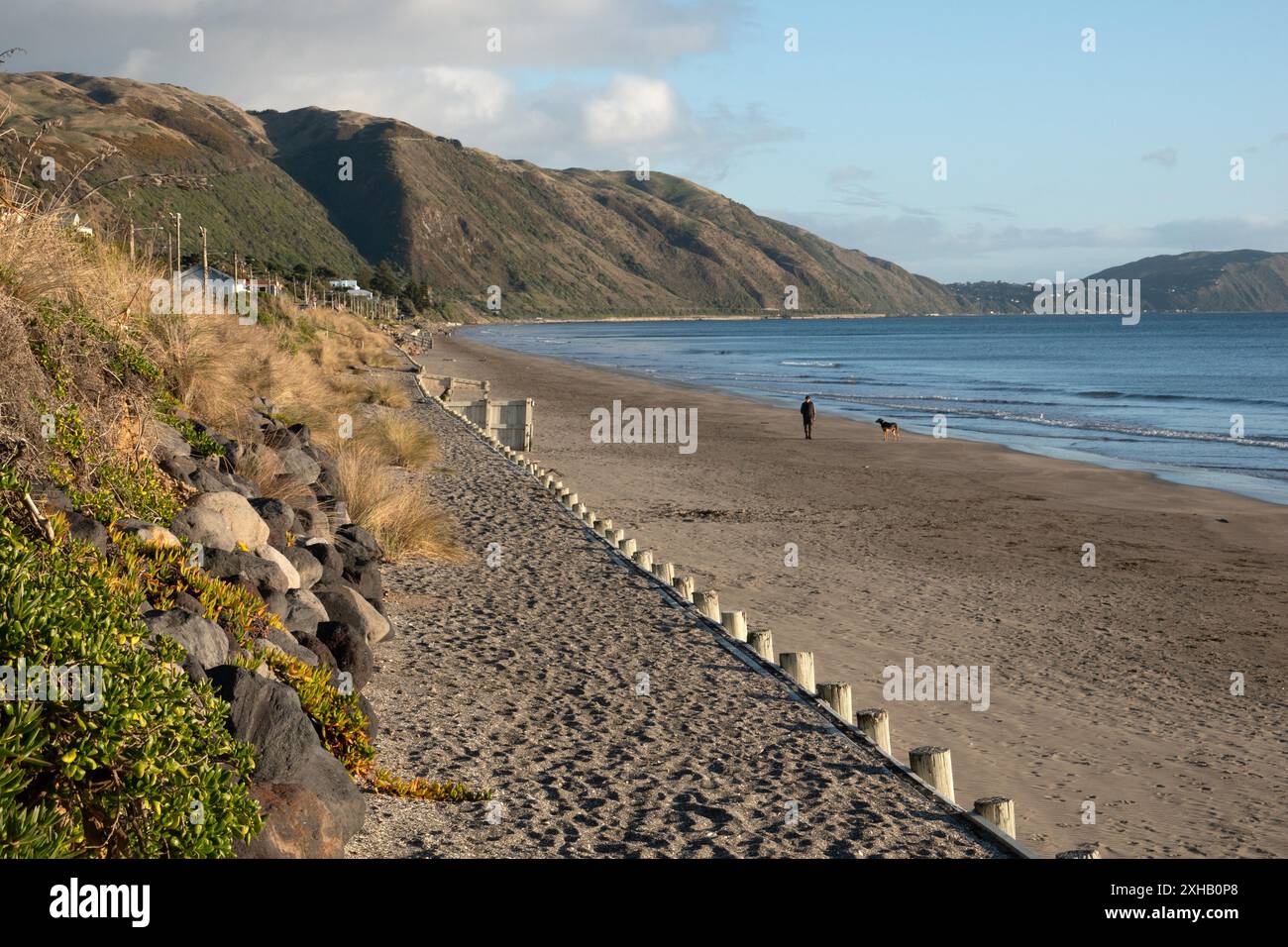 Control coastal erosion hi-res stock photography and images - Alamy