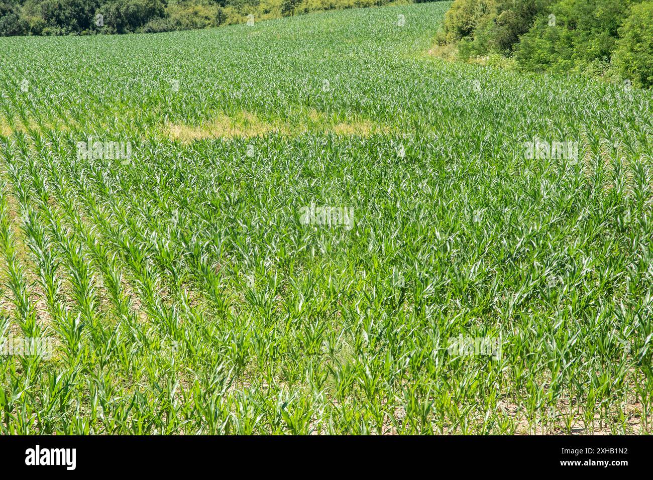 Agricultural sunny hi-res stock photography and images - Alamy