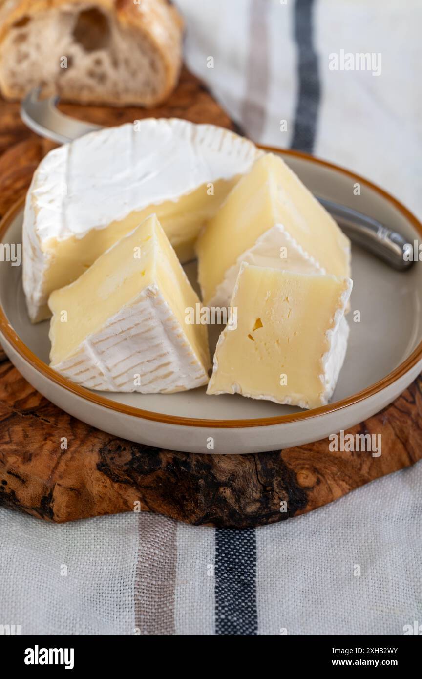 French soft Camembert cheese, original Camembert de Normandie made from ...