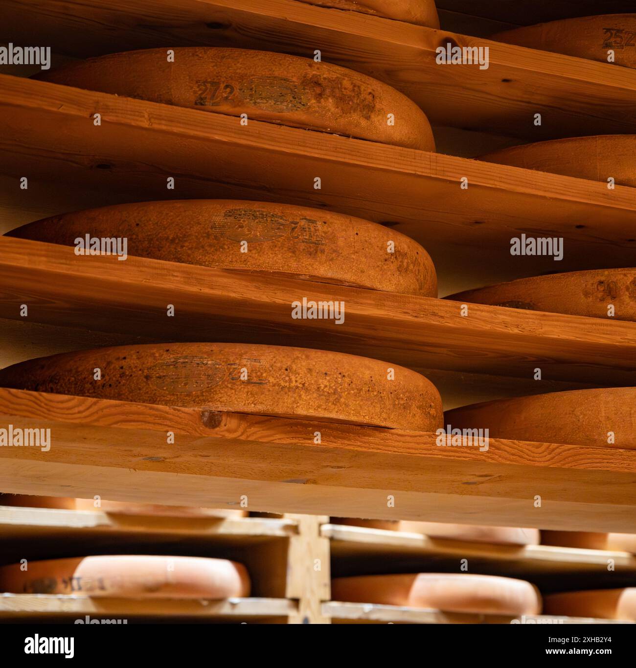 Aging rooms with many shelves in cheese caves, central location for ...