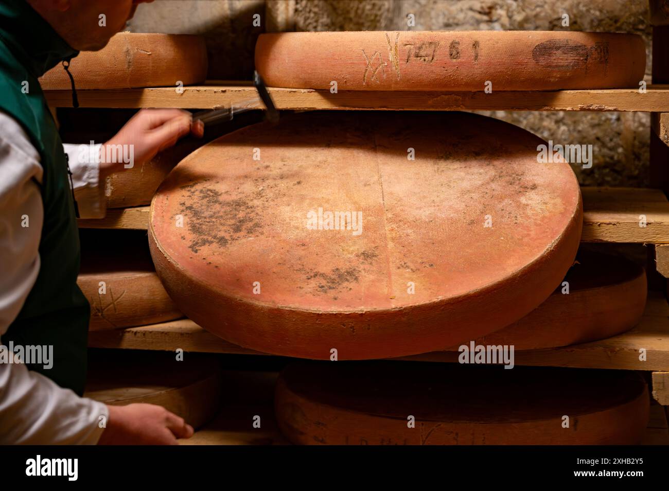 Cheese check in aging rooms with many shelves in caves, central ...