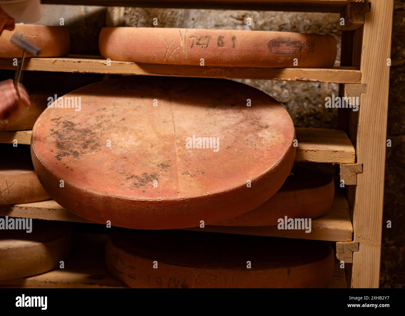 Cheese check in aging rooms with many shelves in caves, central ...