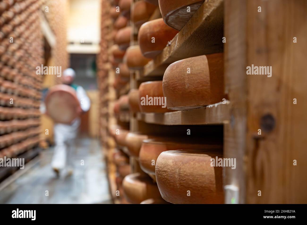 Aging rooms with many shelves in cheese caves, central location for ...