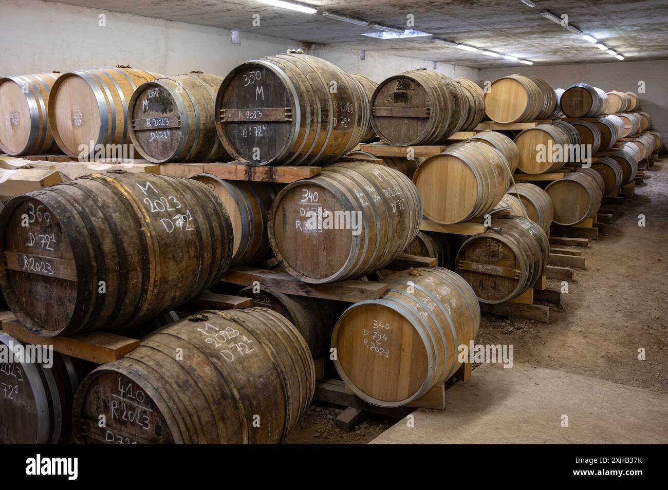 Aging process of cognac spirit in old dark French oak barrels in cool ...