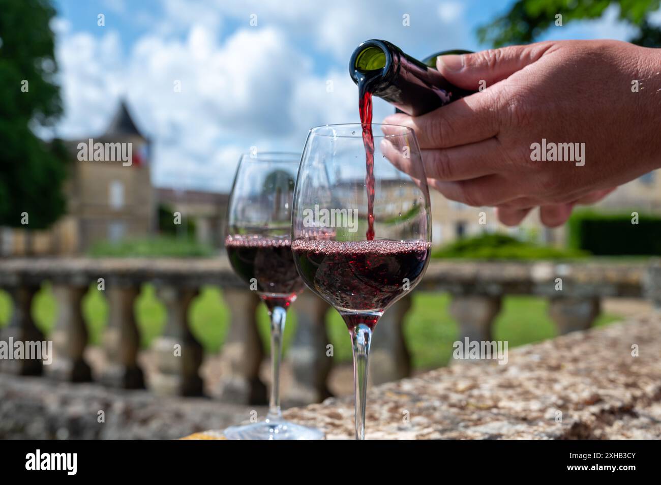 Glasses of french dry red wine in old wine domain on Graves vineyards ...