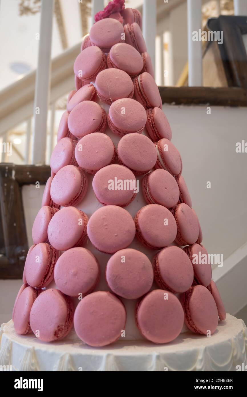 French macarons tree, sweet meringue-based confection made with egg white, icing sugar ...