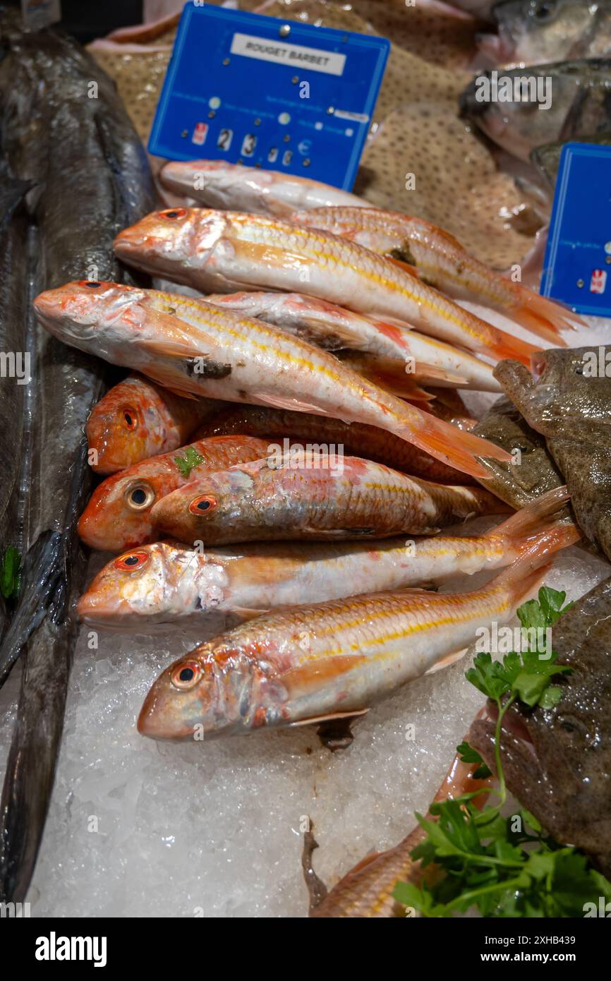 Assortment of fresh daily catch of fish on ice on daily fish market in ...