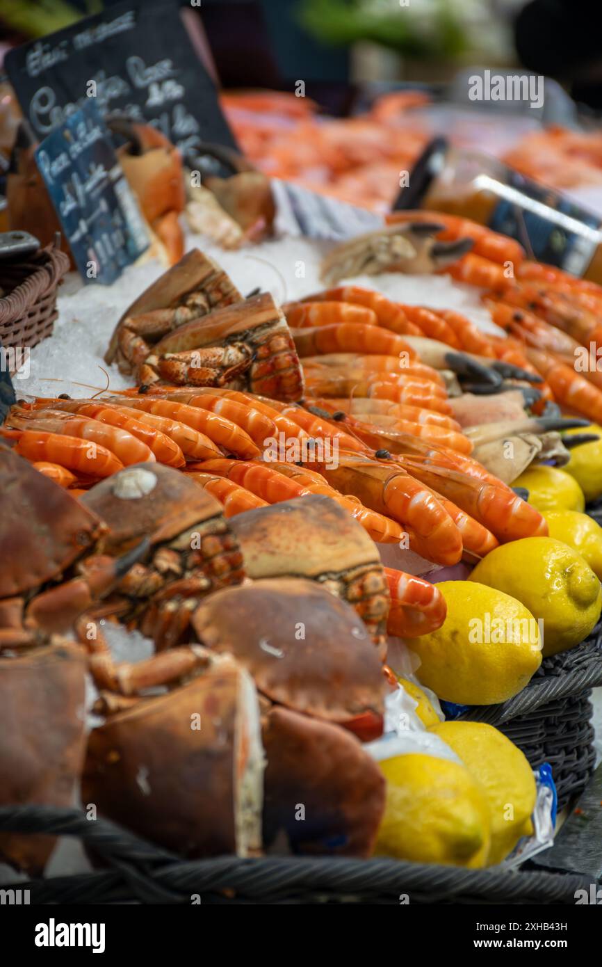 French Seafood Names: List Of Fish Names – PGDTPV