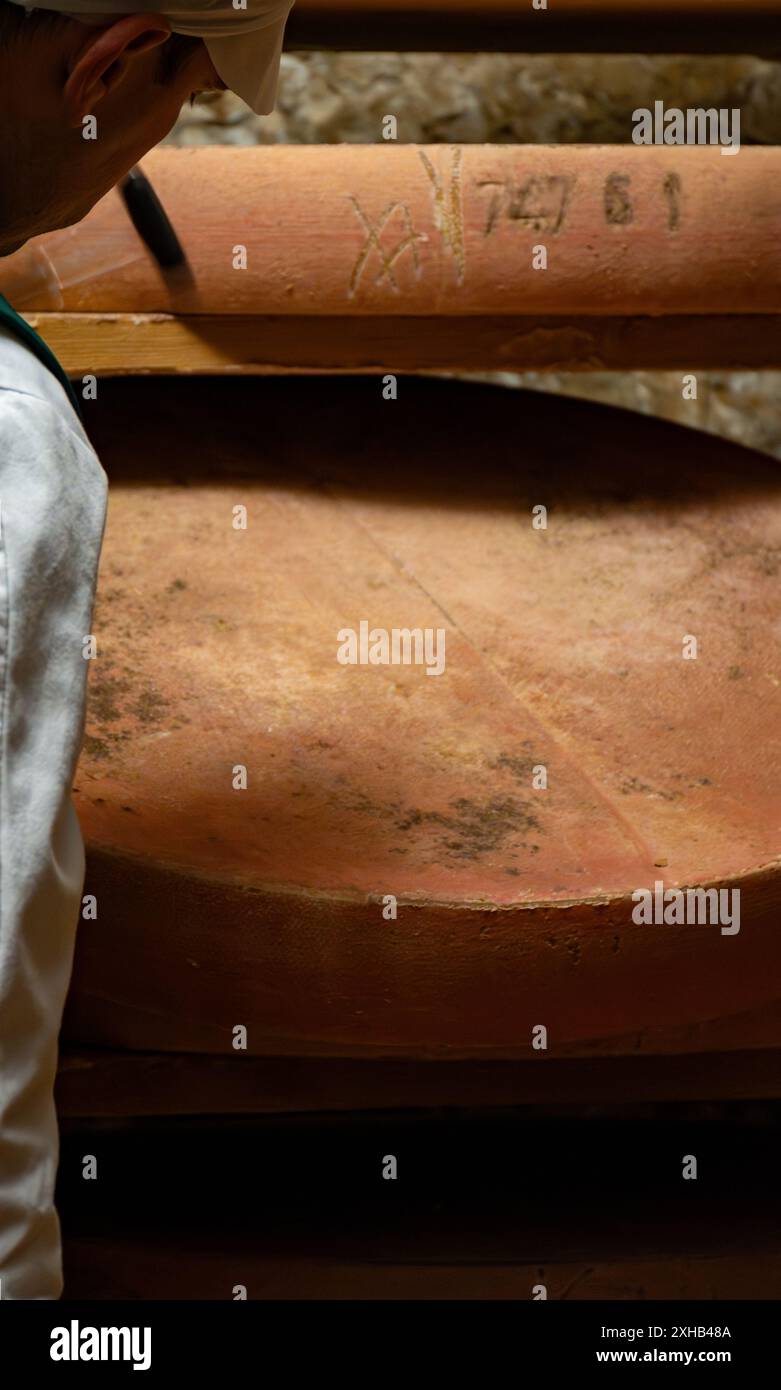 Cheese check in aging rooms with many shelves in caves, central ...