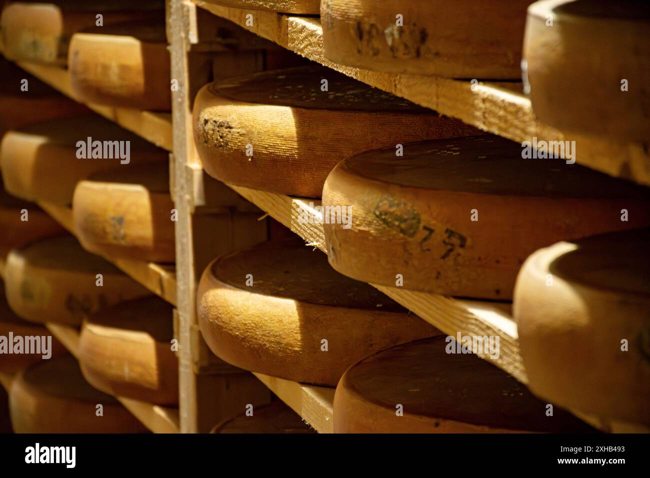 Aging rooms with many shelves in cheese caves, central location for ...