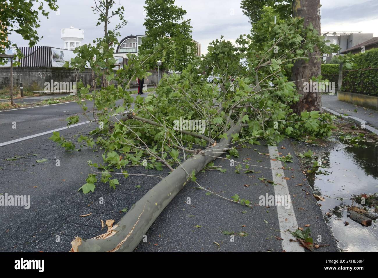 Summer 2024 with very strong thunderstorms characterized by gusts of ...