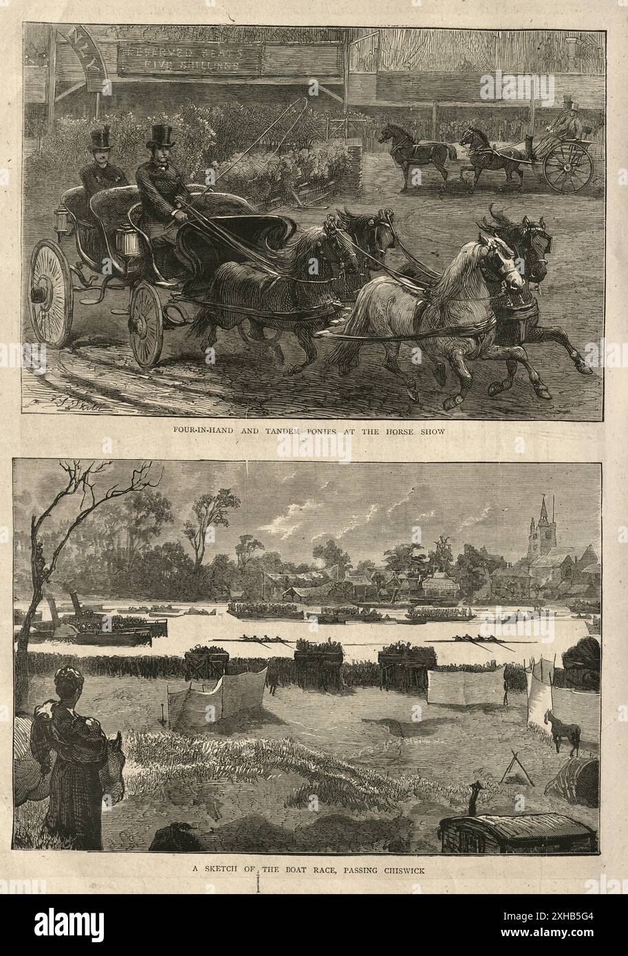 Victorian sports history, Equestrian carriage driving, Horse show ...