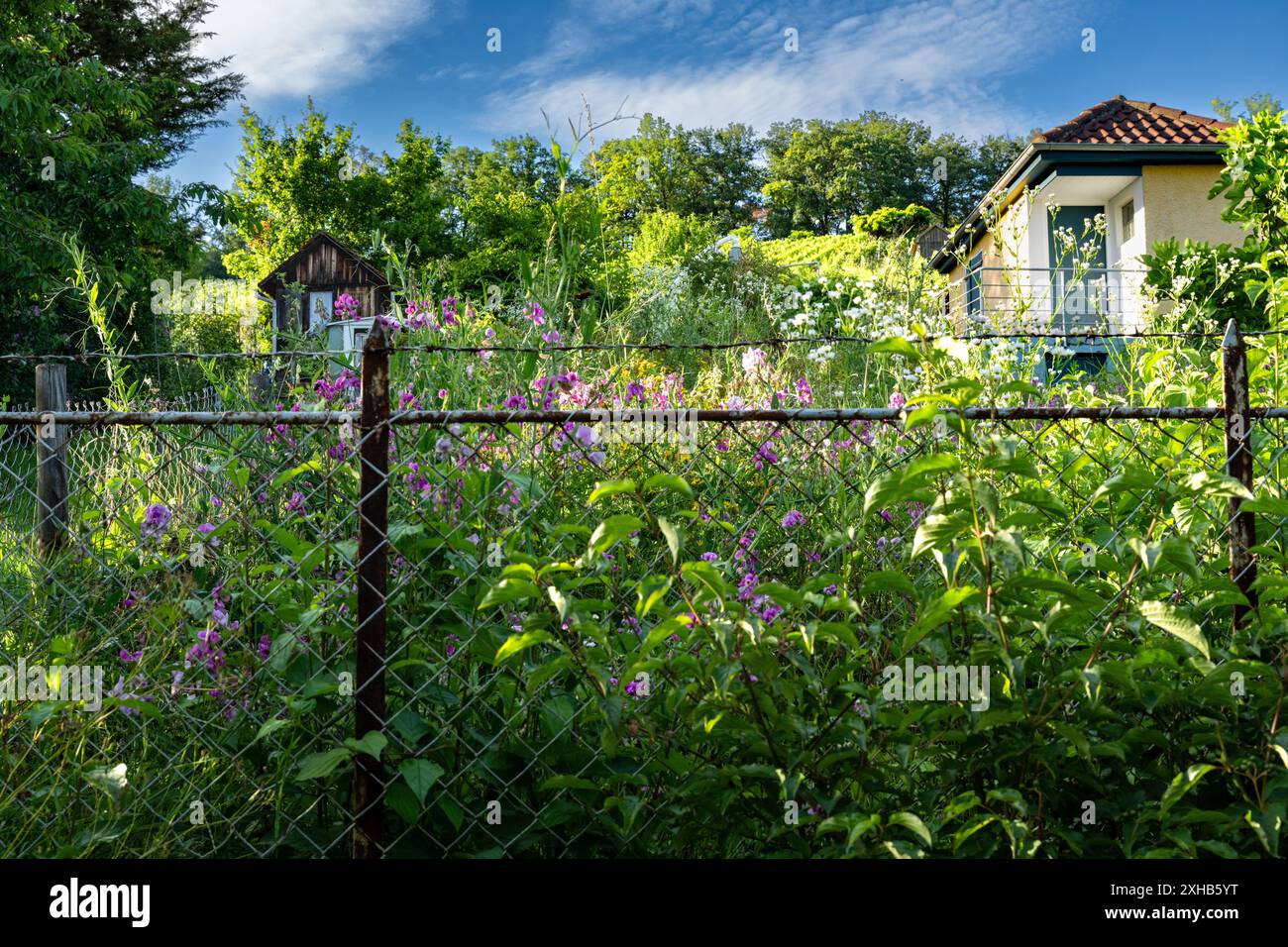 Overgrown slope hi-res stock photography and images - Alamy