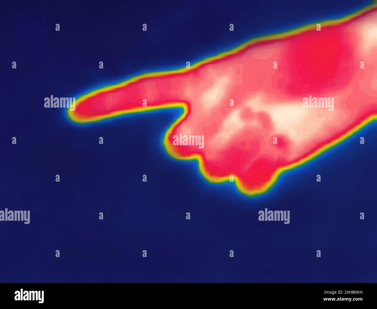 Hand gestures captured on thermal imager device. Warm hands of an ...