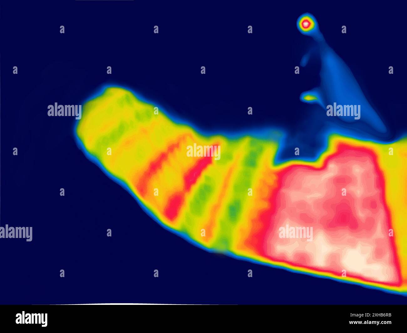 Jacob's ladder (angels ascended and descended) Nuns and monks on the ...