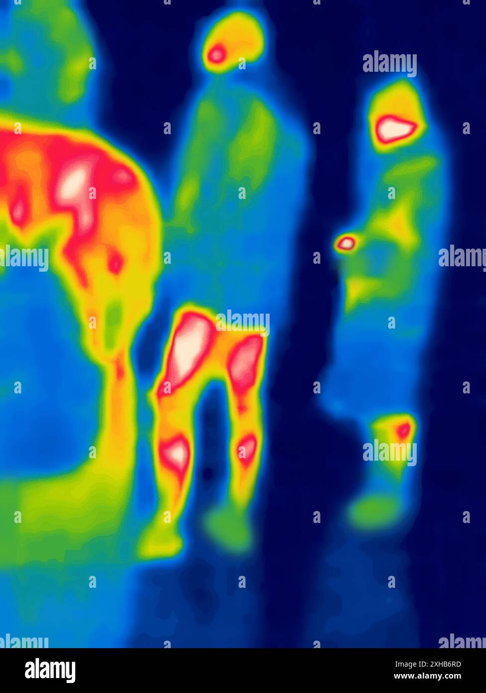 Thermal imager device hi-res stock photography and images - Alamy