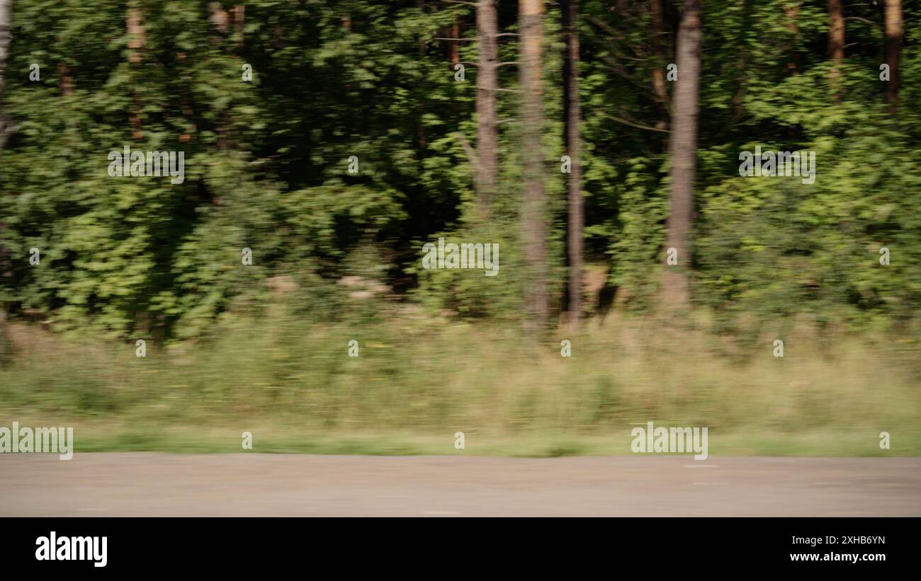 Driving plate green forest view hi-res stock photography and images - Alamy
