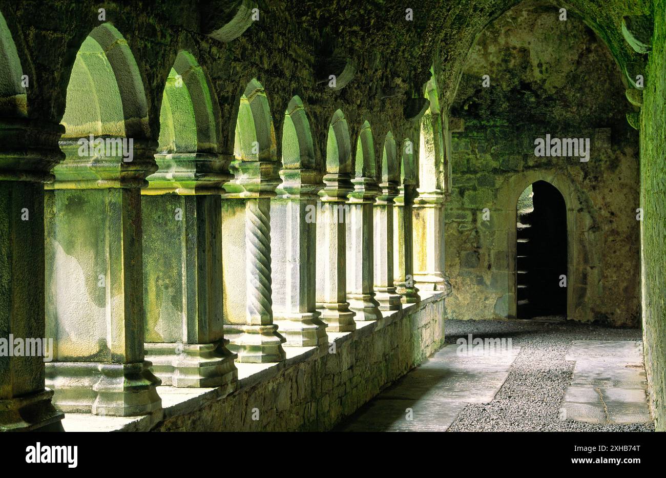 The cloister walk arches in Quin Abbey, County Clare, Ireland. Founded ...