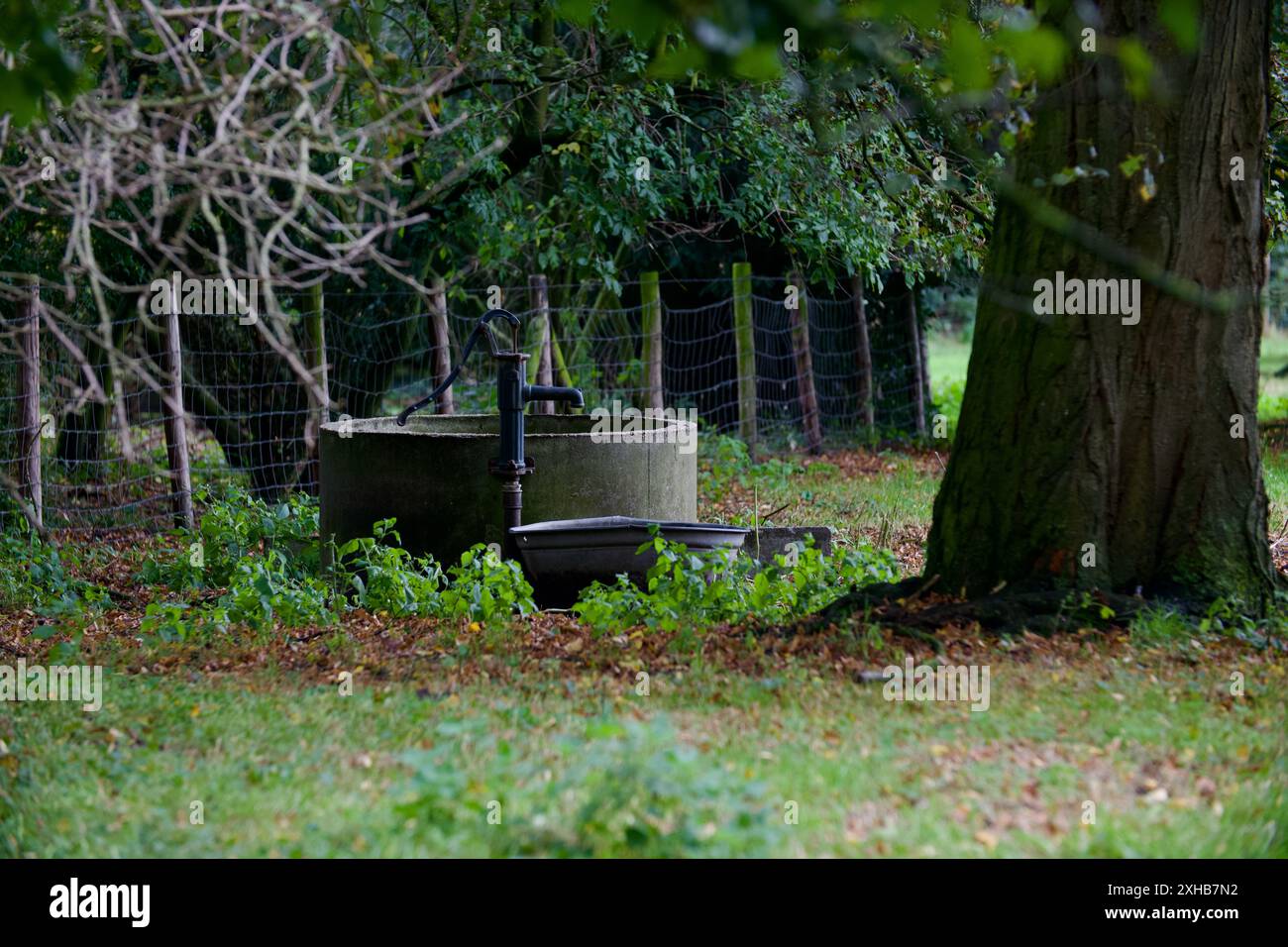 An outdoor scene featuring an old water pump and concrete well ...