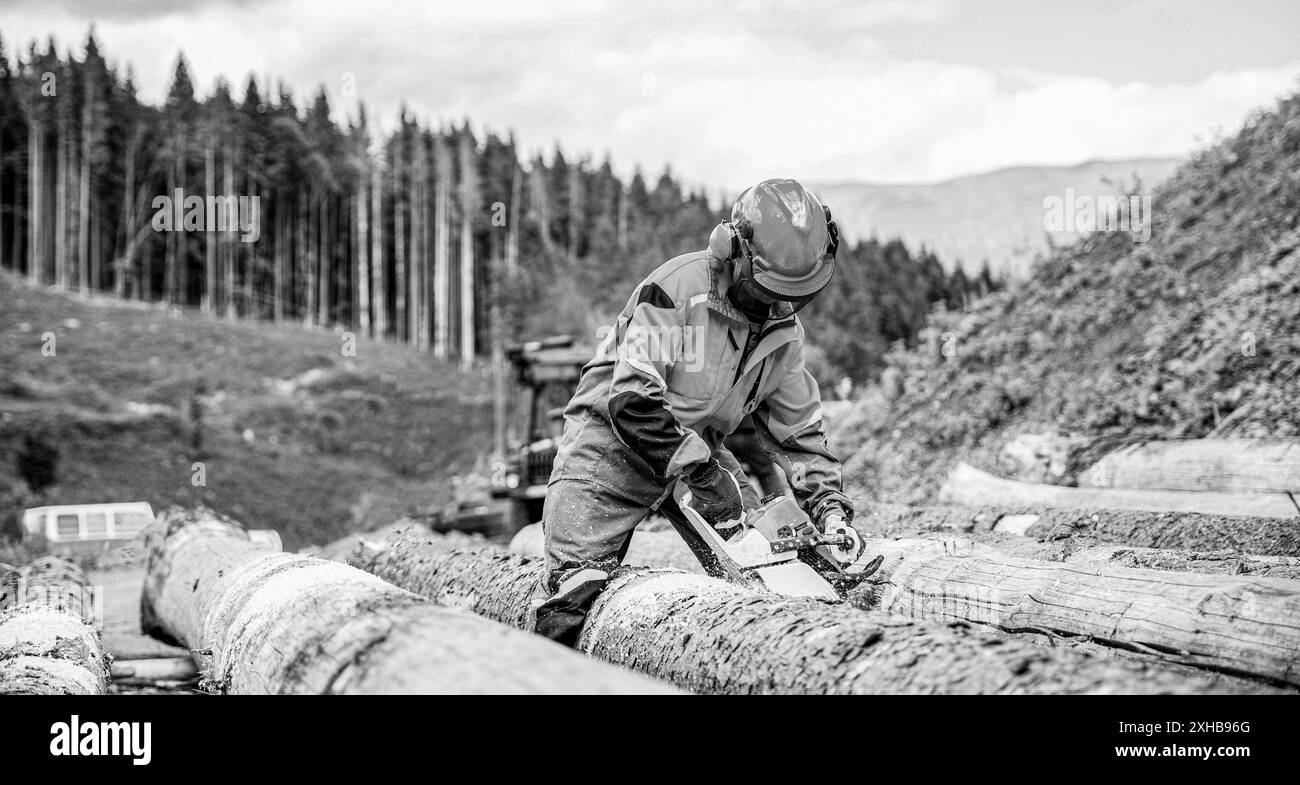 Man chainsaw cutting log Black and White Stock Photos & Images - Alamy
