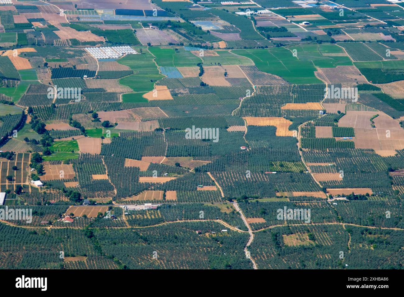 Iznik plain hi-res stock photography and images - Alamy