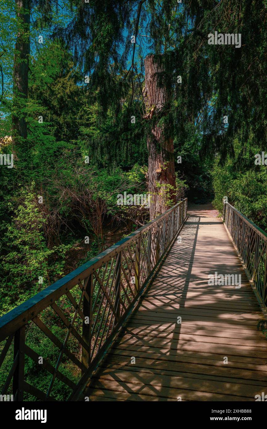 Wooden pedestrian bridge in the park in Aschaffenburg in Germany Stock ...