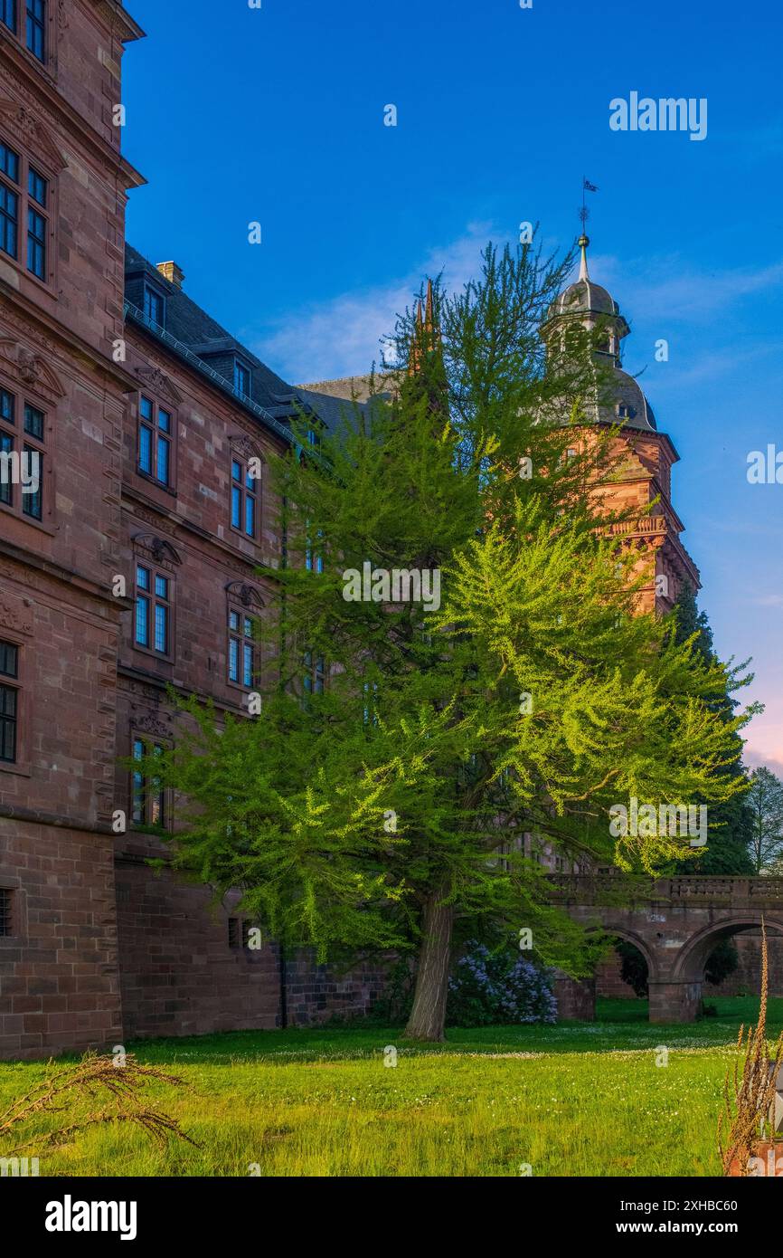 View of Johannisburg Castle in Aschaffenburg, Germany Stock Photo - Alamy