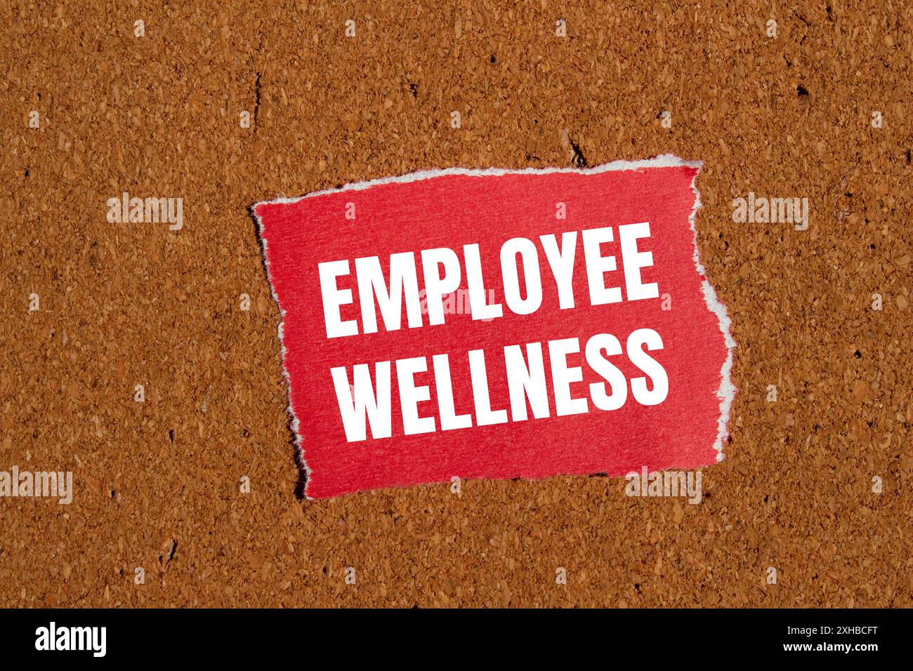 Employee health and wellness program hi-res stock photography and ...