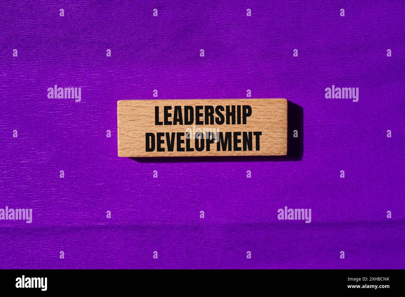 Leadership development message written on wooden blocks with purple background. Conceptual ...