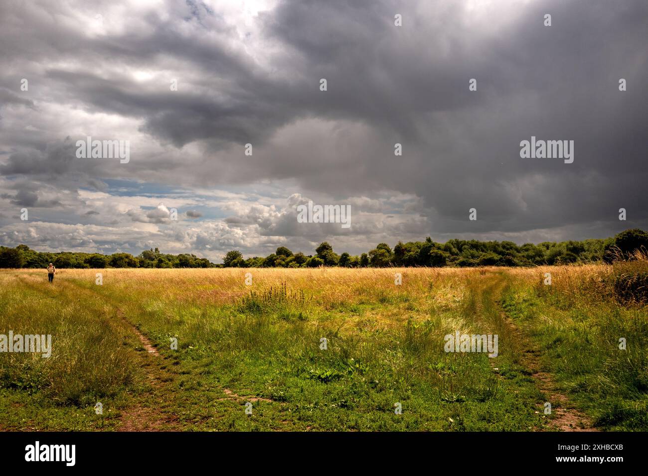Nottingham, July 7th 2024: The Hook Nature Reserve in Lady Bay Stock ...